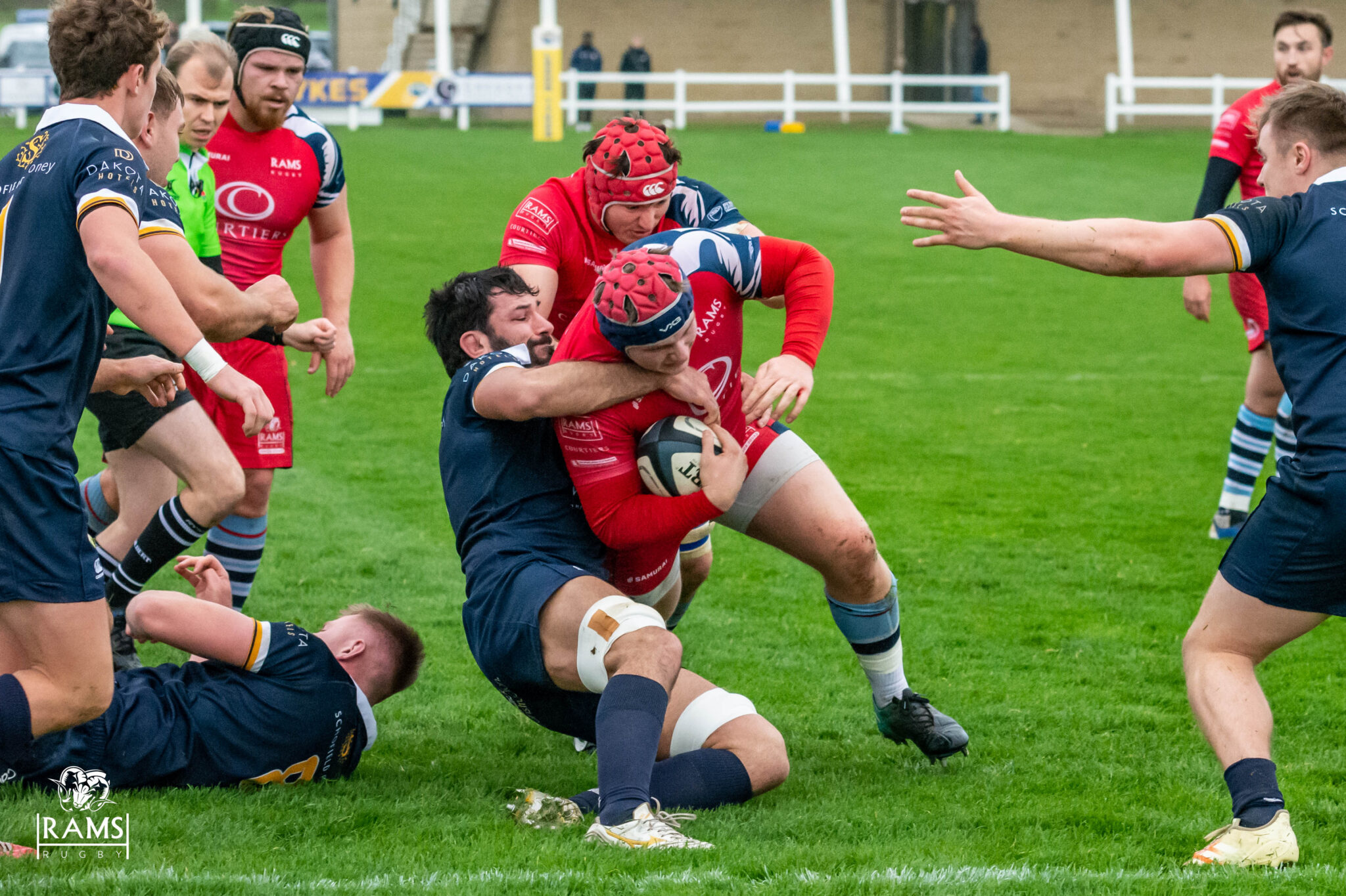 News Archive - Rams Rugby